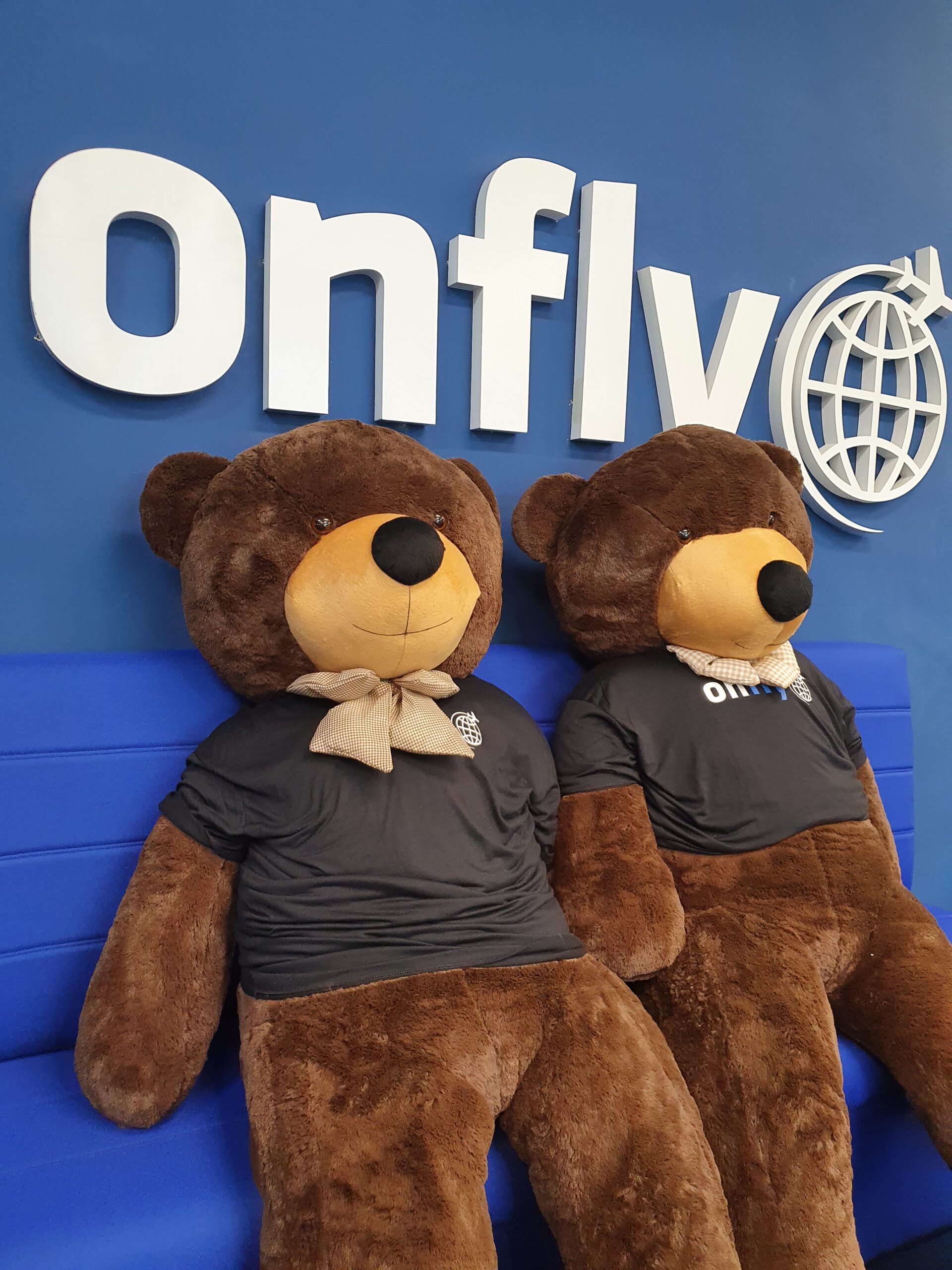 Fofabilidade: o que é e por que tem tudo a ver com a Onfly?